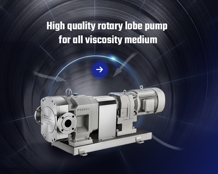2 Stage Industrial Rotary Pump Manufacturer - Durrex
